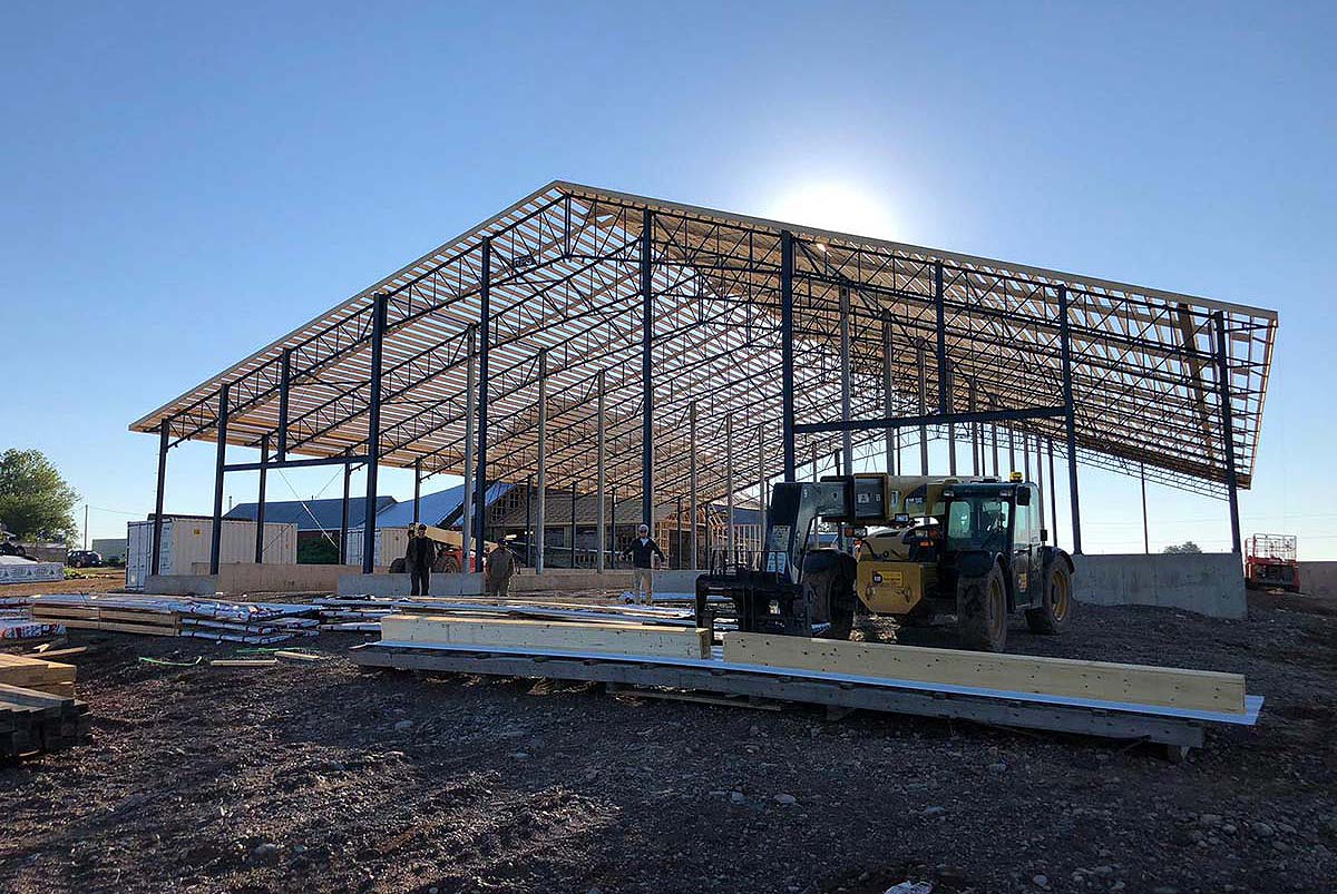 Davison - K&S Builders Ltd